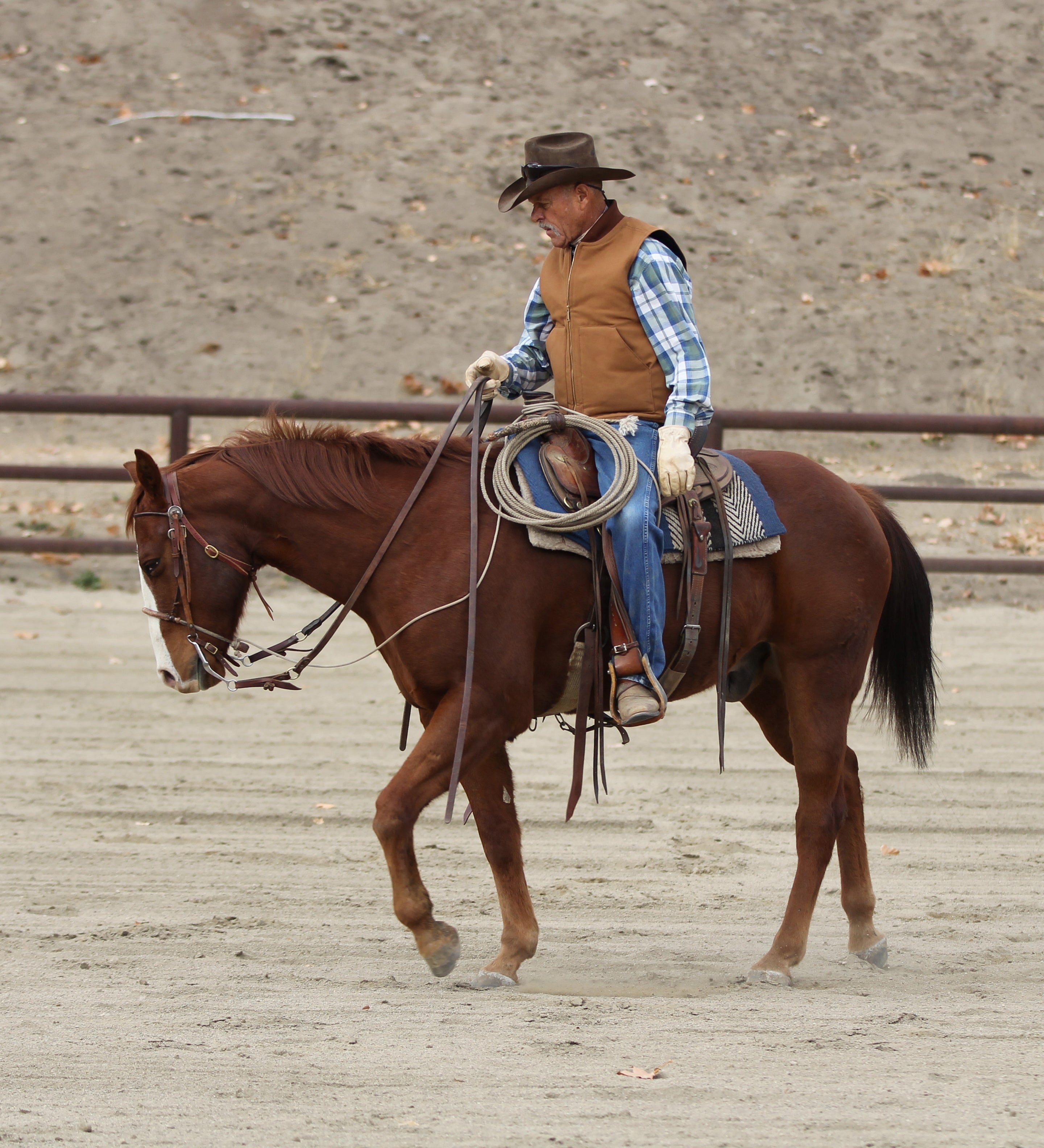 Darkes Forest Ranch